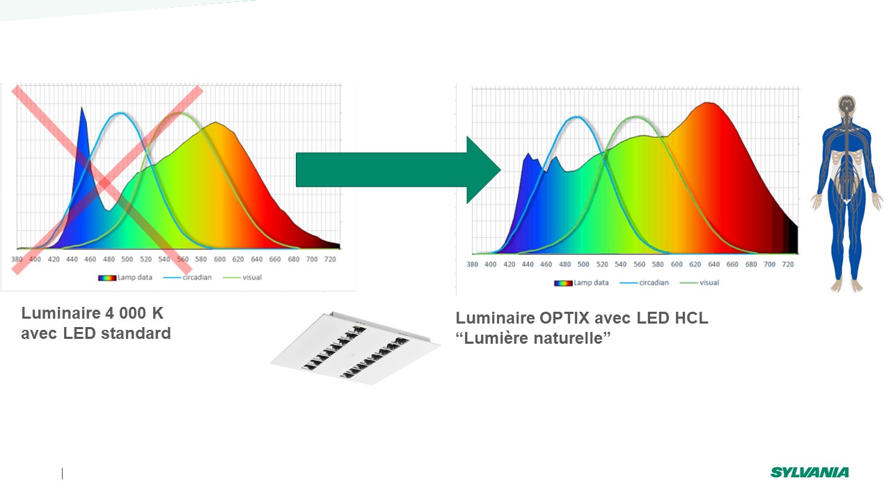 HCL ou Human Centric Lighting, l’humain au centre des développements ...